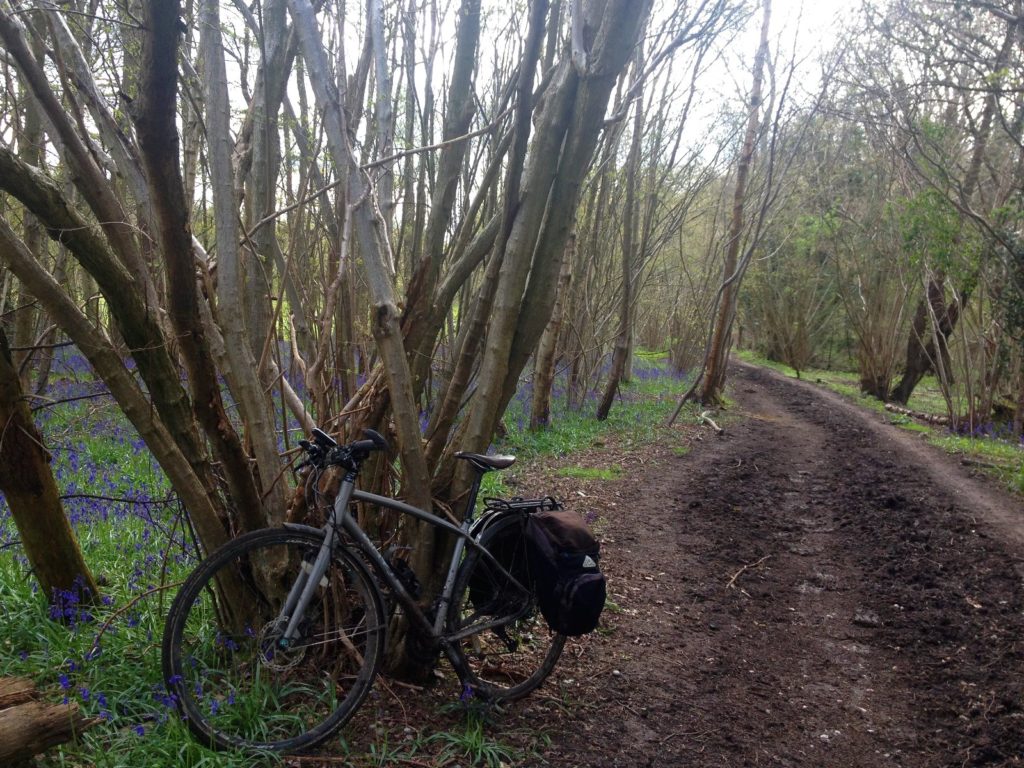 C25 Spoke 2-3 Link: Hayes to Halliloo Valley - Martin Nelson